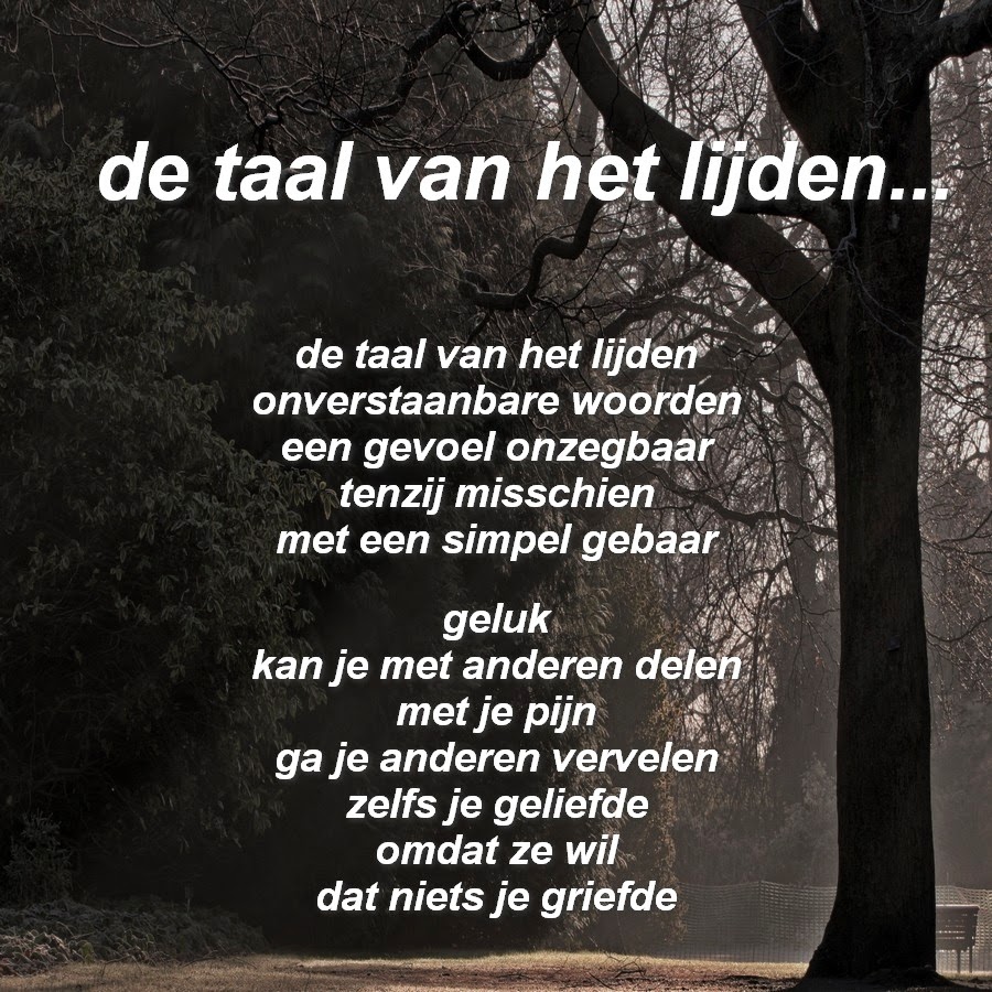 Religie, Zingeving en Levensbeschouwing