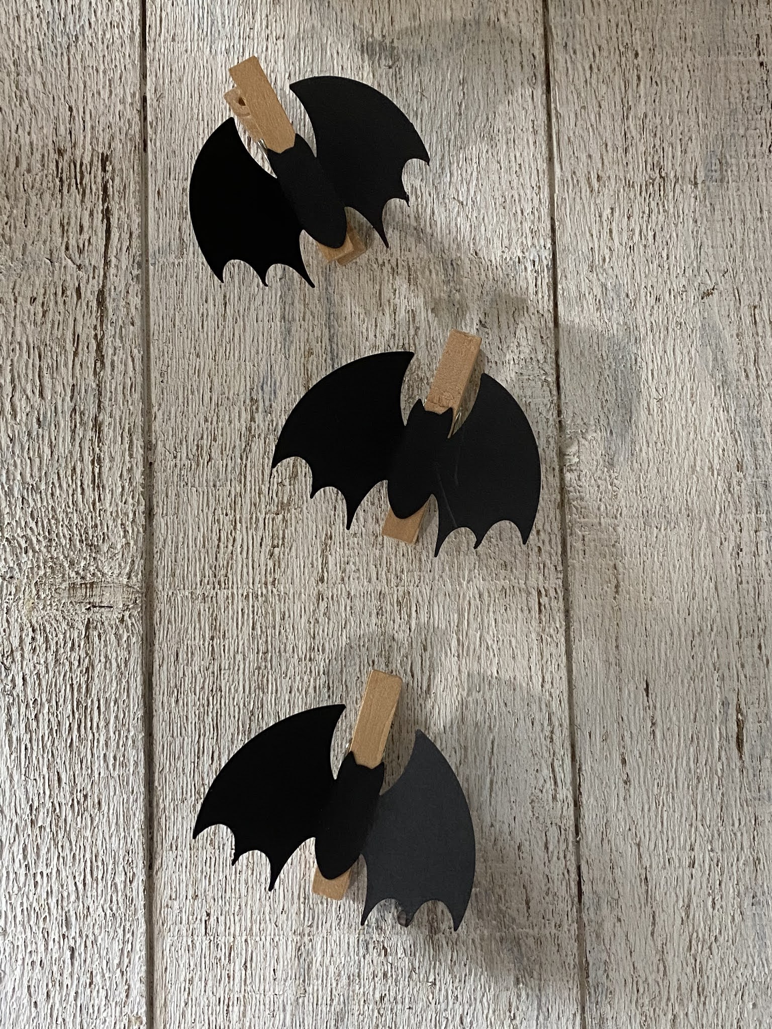 2340 West Newton: Bat Clips