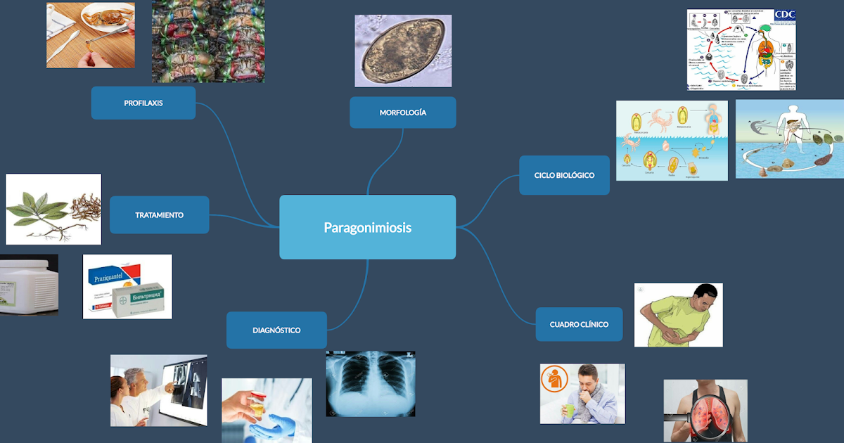 Mapa Mental Paragonimiosis