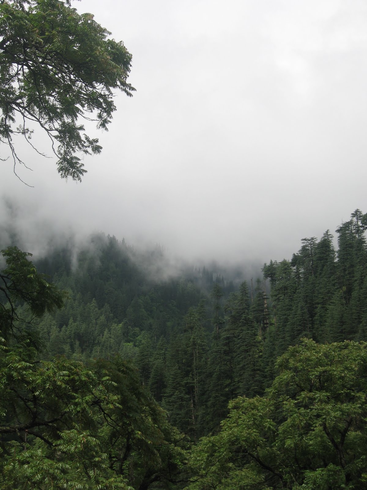 Libran Traveller: Sojha Valley- An Island of Serenity