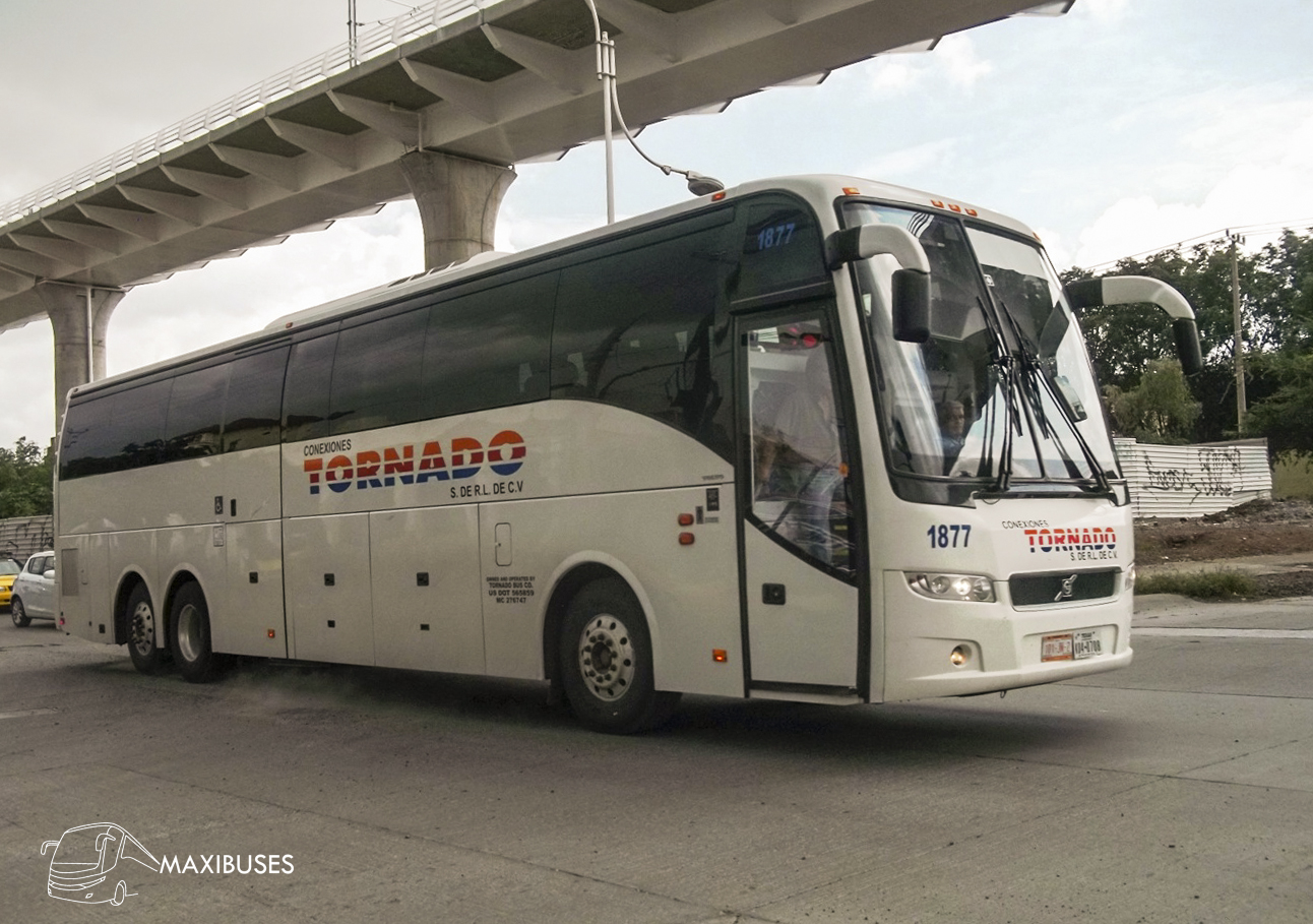 MAXIBUSES: TORNADO BUS COMPANY