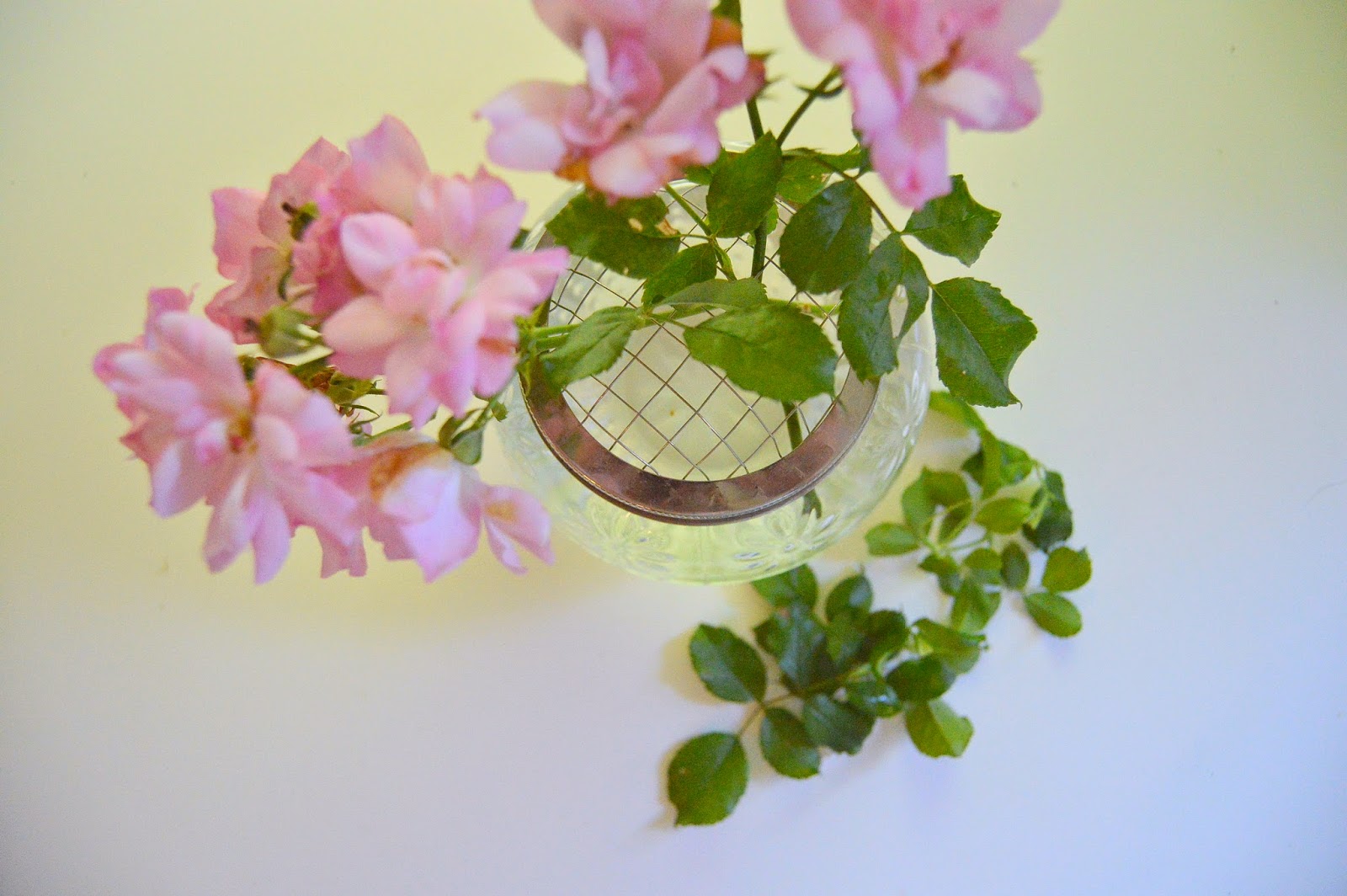 My Five Men: Today, I Puttered