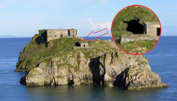History Of cock And Bull Is The Mystery Of The Animal In Island Myvnewsmagsite blogspot history-of-cock-and-bull-is-the-mystery-of-the-animal-in-island-myvnewsmagsite-blogspot