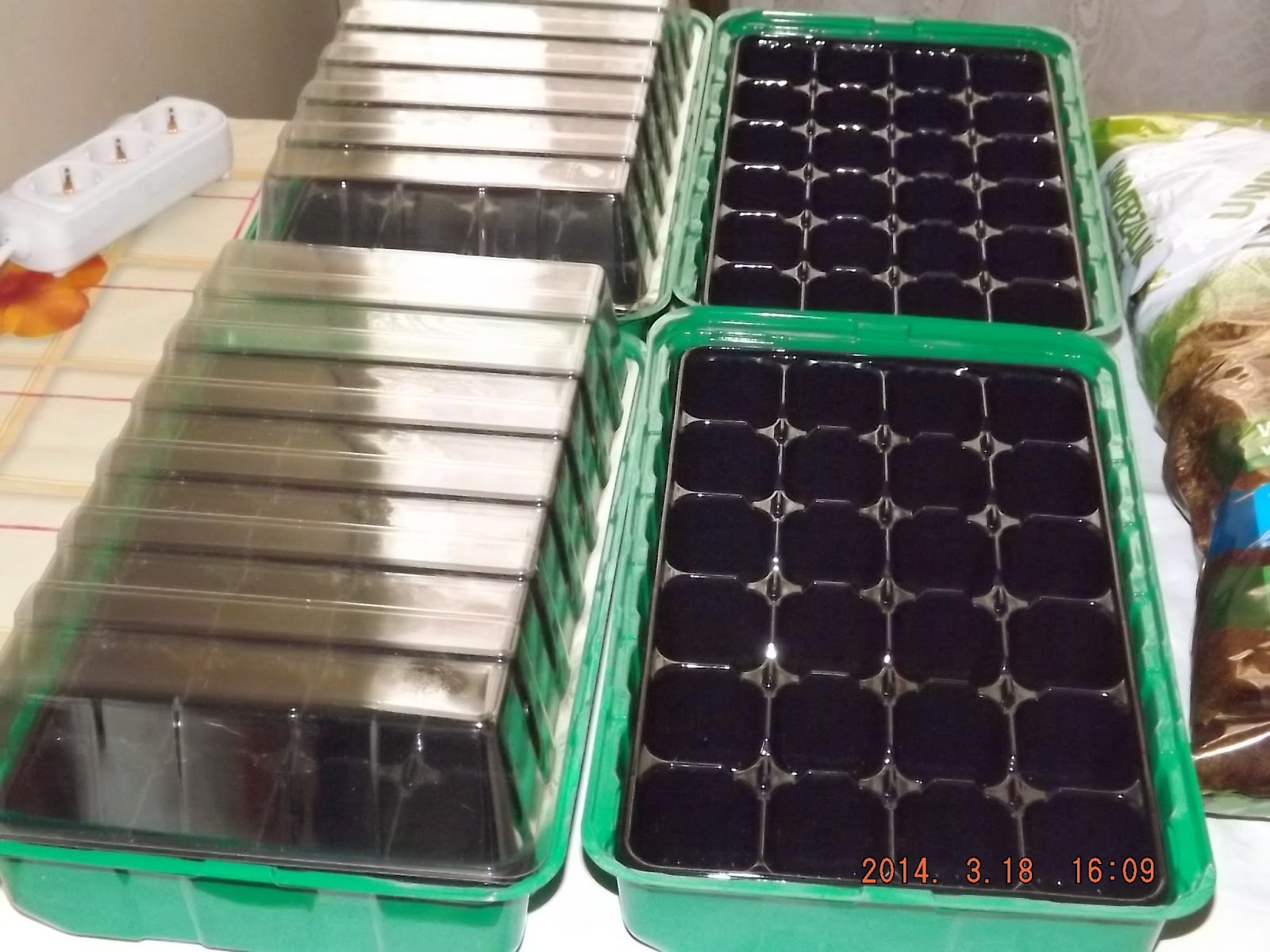 Gradinarit anotimp cu anotimp: Inmultirea simpla – prin seminte – 1001 ...