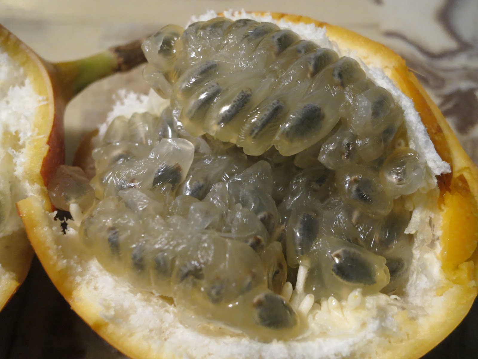 what what?~: New Fruit - Granadilla