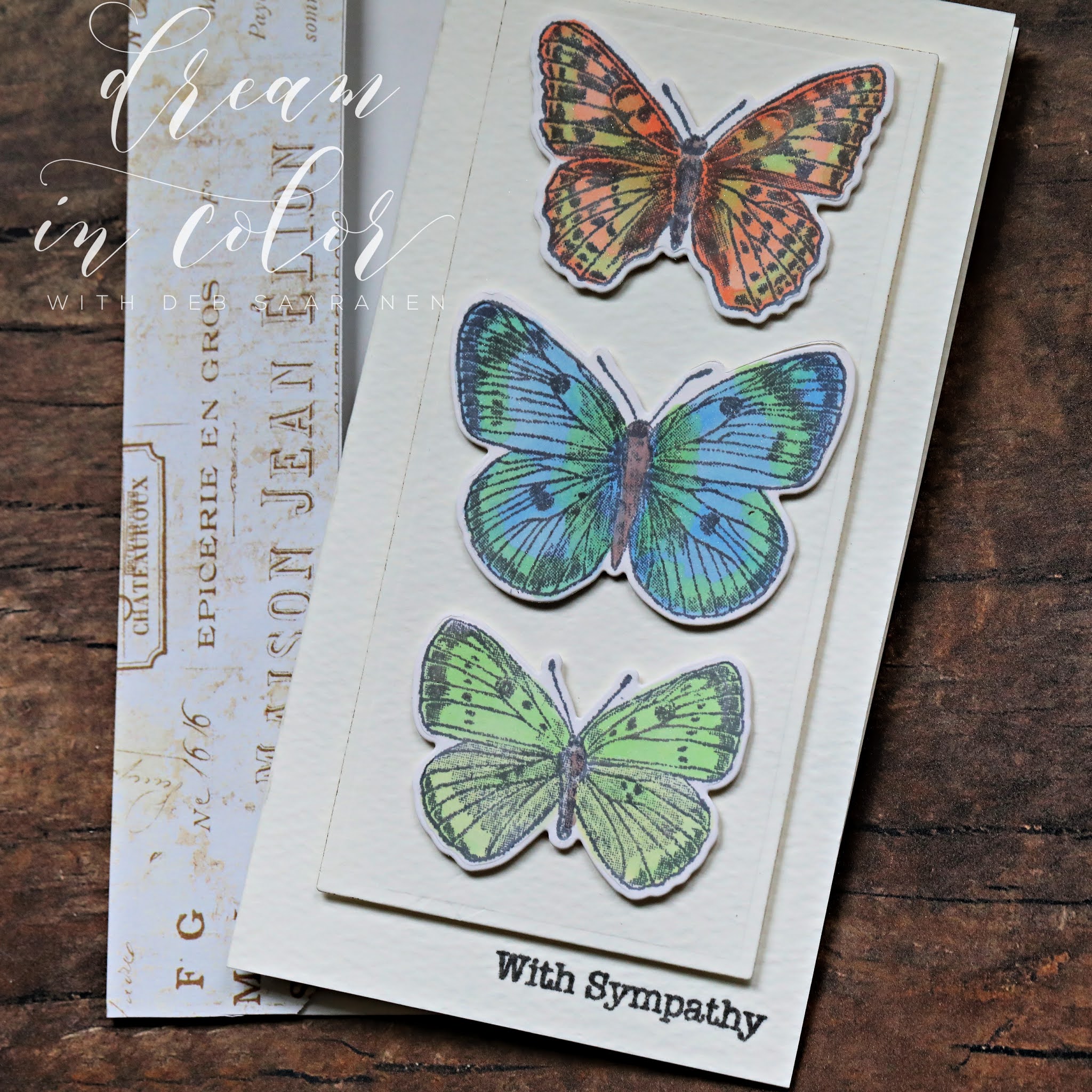 Dream in Color...: Butterfly Sympathy