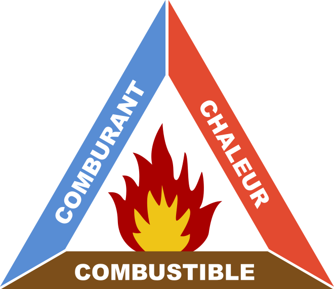 La cuisson au barbecue