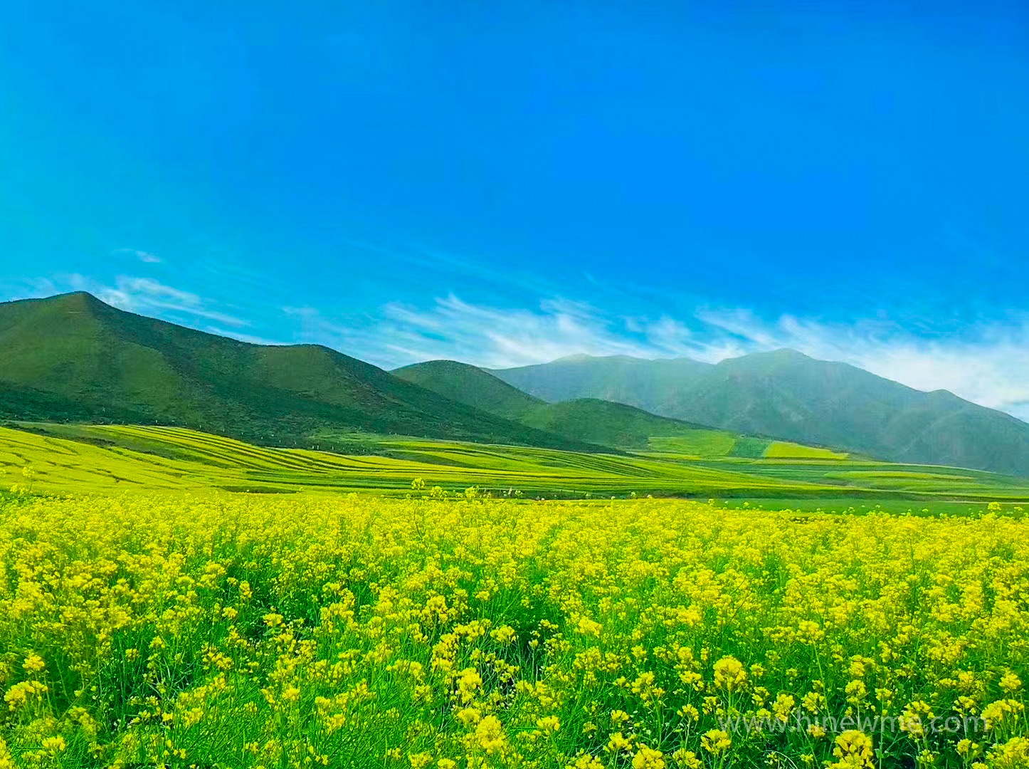 32flower landscape, photography tips to take pictures of the landscape ...