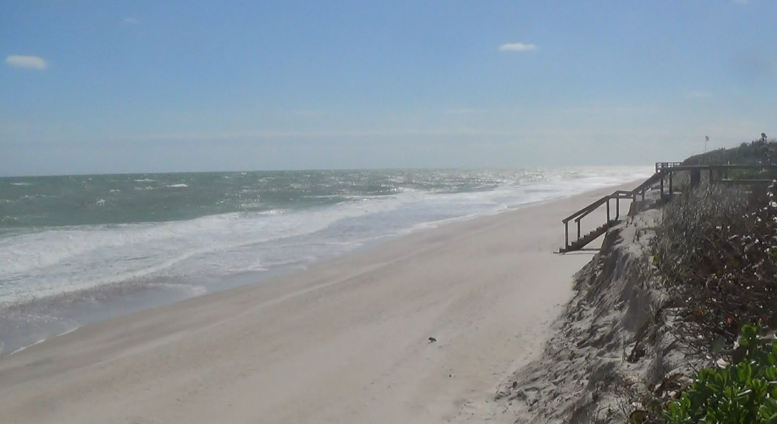 The Treasure Beaches Report Direct From Florida's Treasure Coast.: 2/6 ...