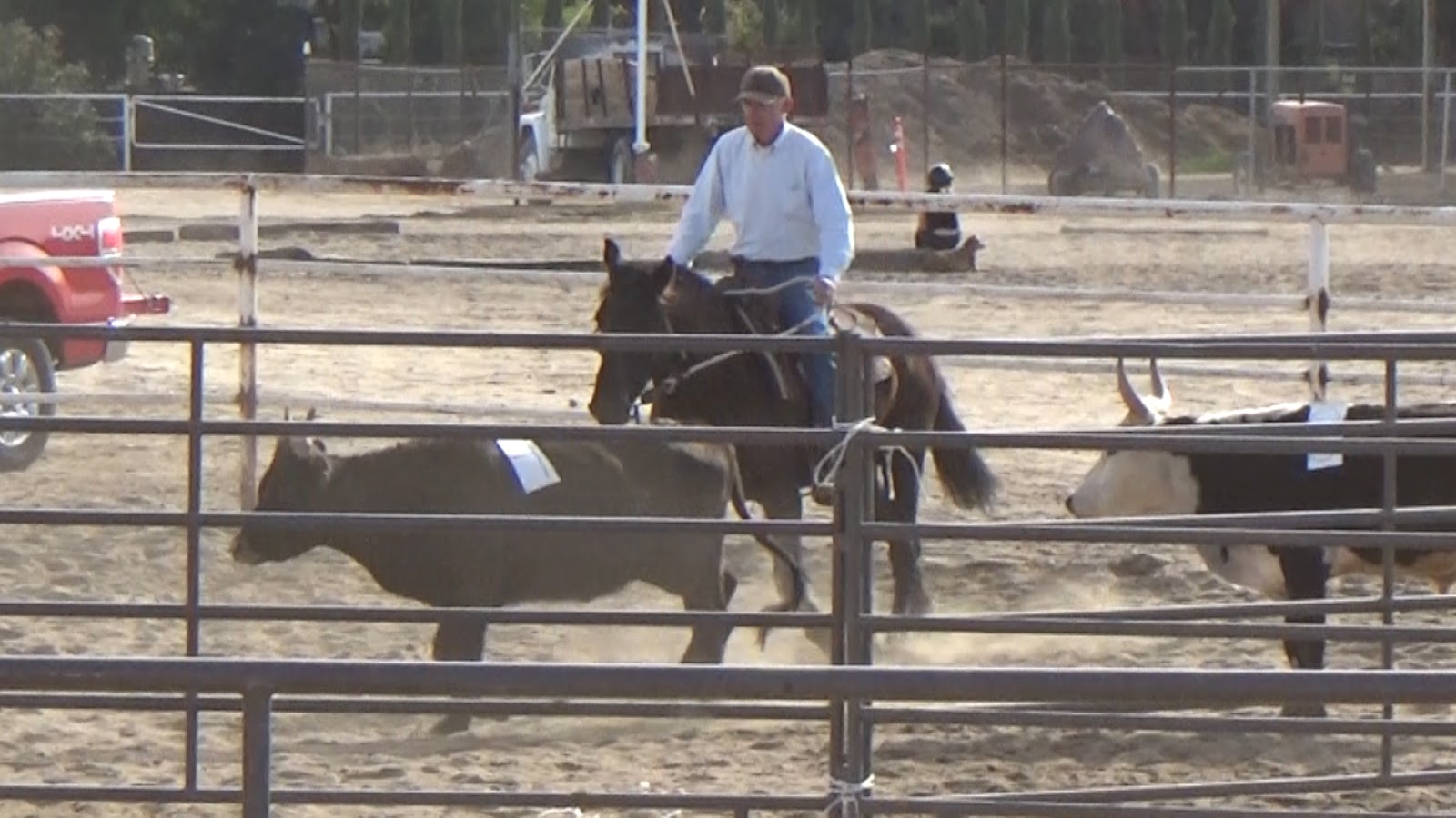 Horsemanship Training with Jessie