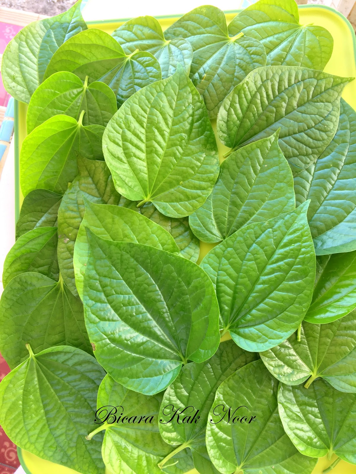 Kerepek Kadok Rangup & Berkhasiat Mesti Cuba - Dapur Kak Noor