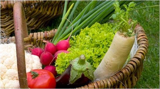 zerezas-otrasformasdecocinar: Alimentos Ecológicos son Mas beneficiosos ...