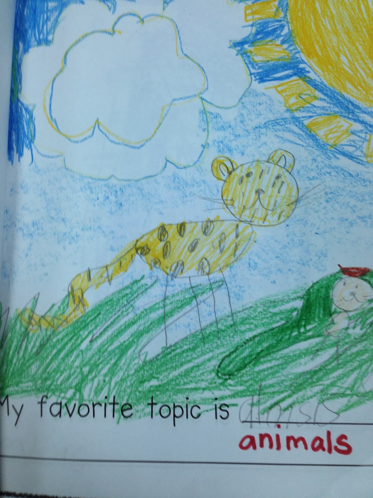 The Adventures of a K/1 Teacher: Steve Jenkins Author Study