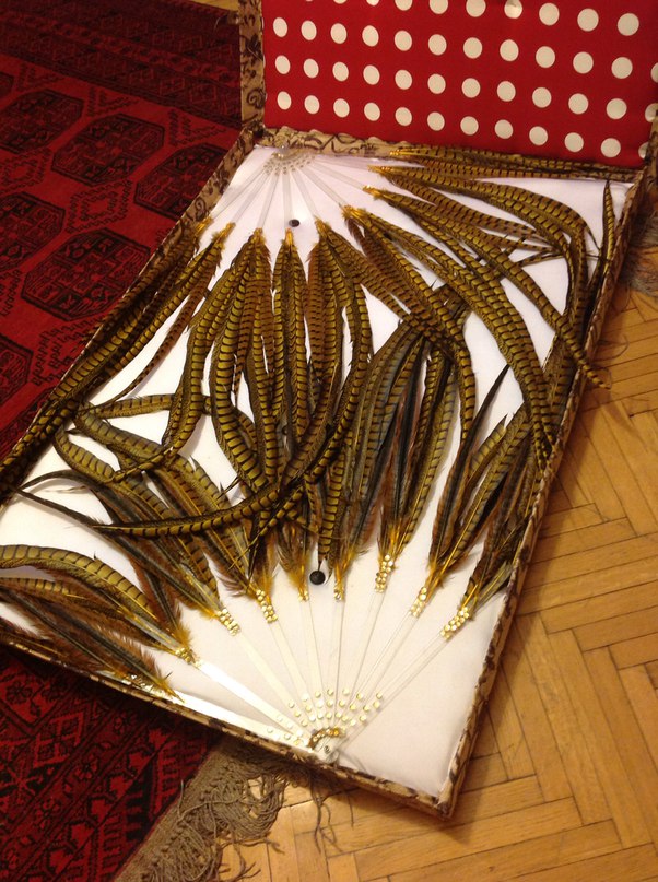 Feather fan keeper:)