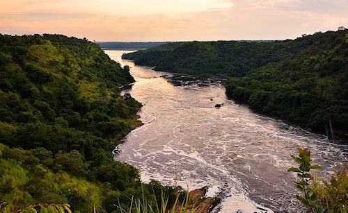 The Presurfer: December 2015