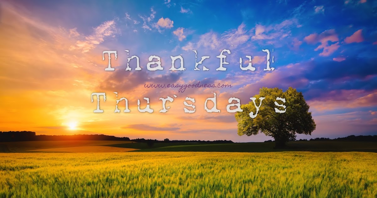 Easy Goodness: Thankful Thursdays ~ Post Twelve