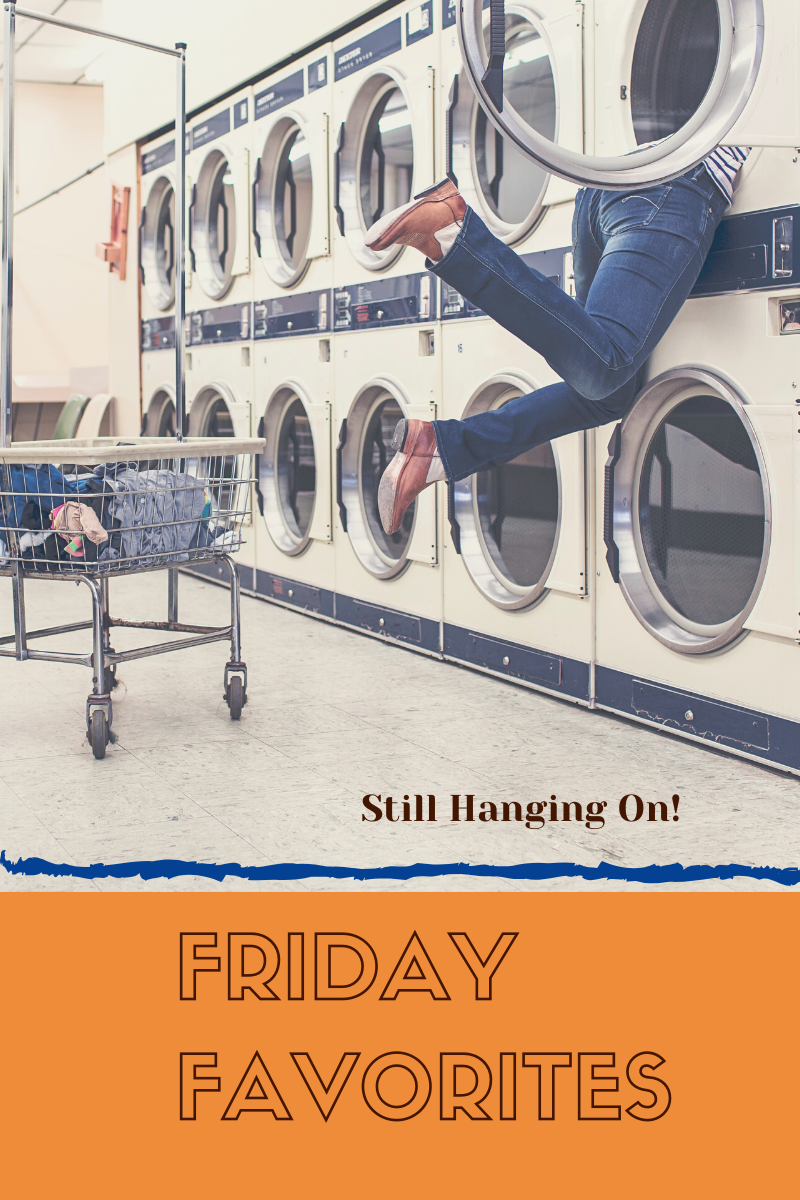 Living on Cloud Nine: FRIDAYS FAVORITES....STILL HANGING ON