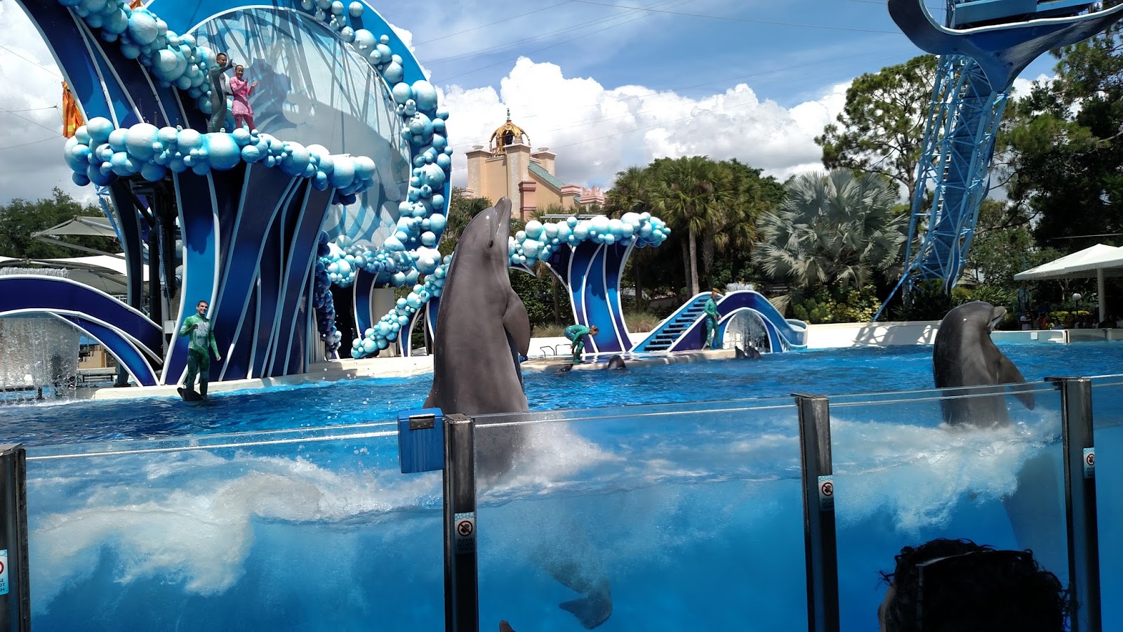 Florida: SeaWorld Orlando Blue Horizons Show ~ Well Worn Suitcase