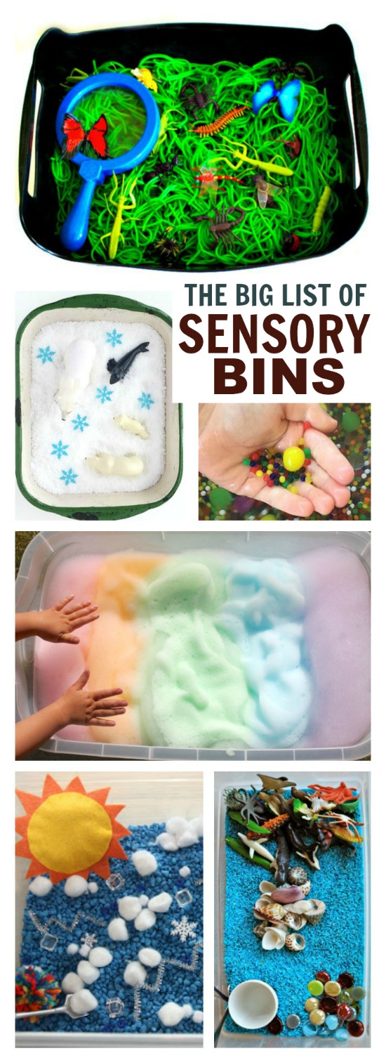 Sensory Bin Ideas
