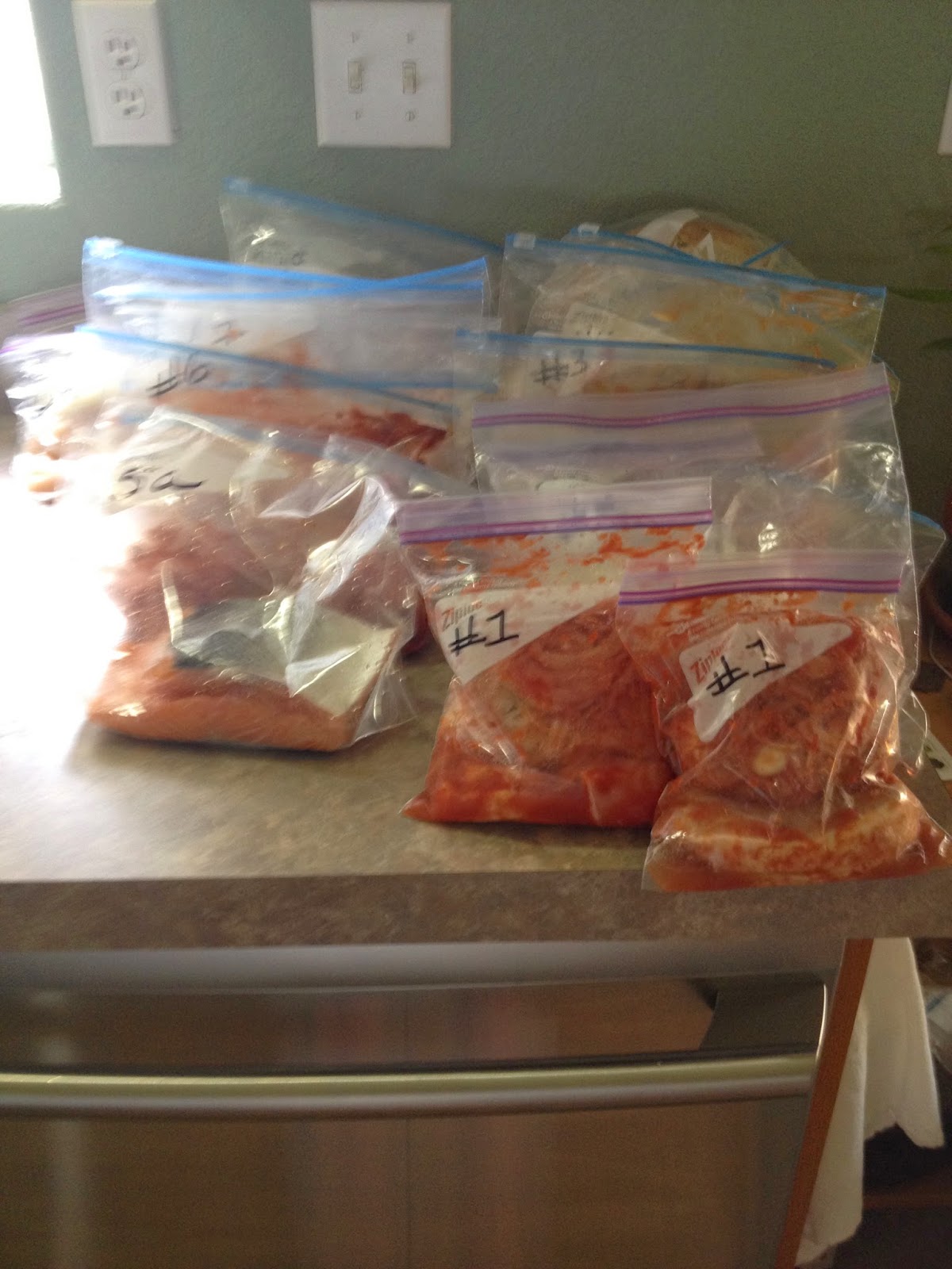 Wildtree: Remote Freezer Meal Workshop