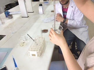 Microbiología: Sesión 6 Práctica 8: Recuento en placa de Salmonella