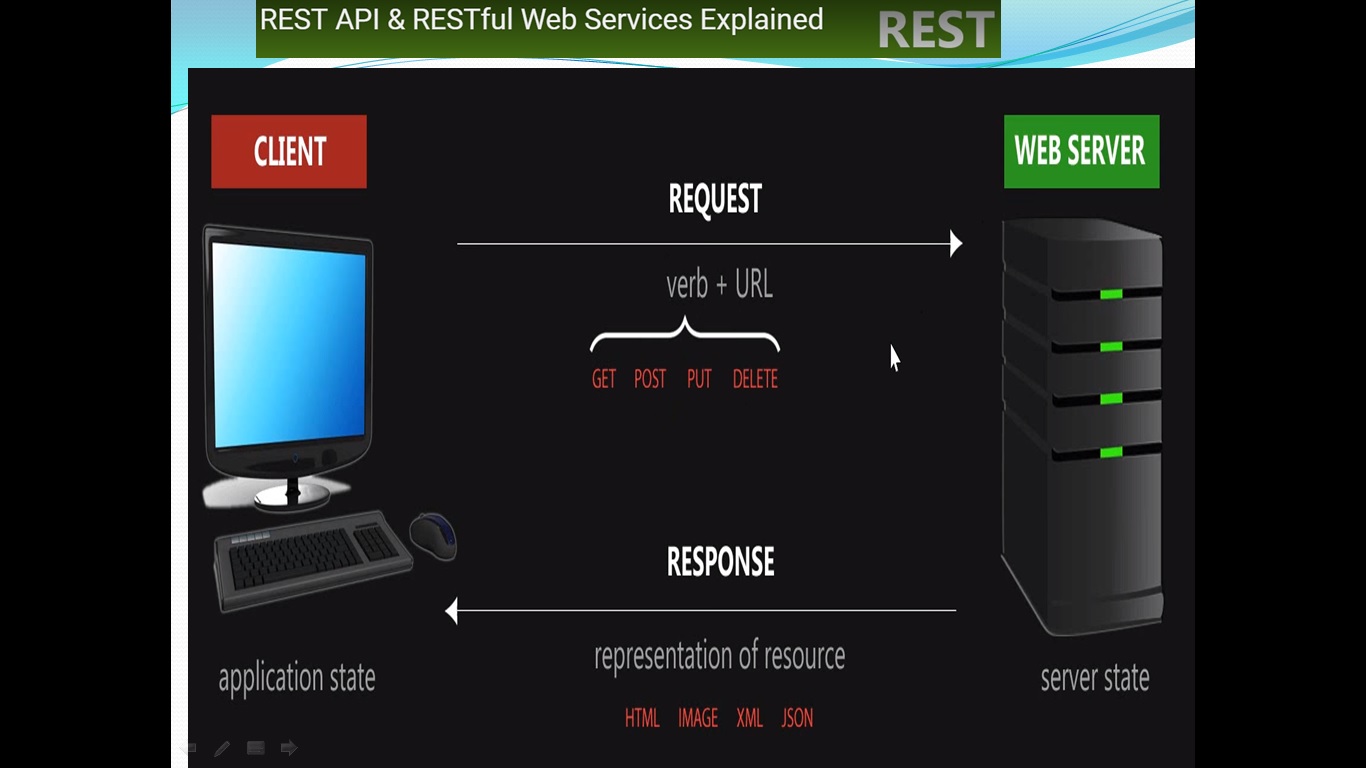 Ramesh Insights In Automation Api Automation Testing With Rest Assured