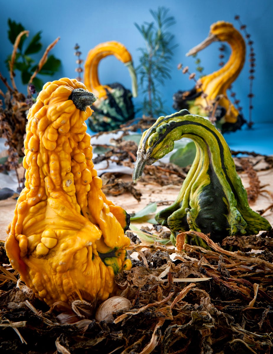 Jenny Adventures: Decorative Gourds - Angel Wings