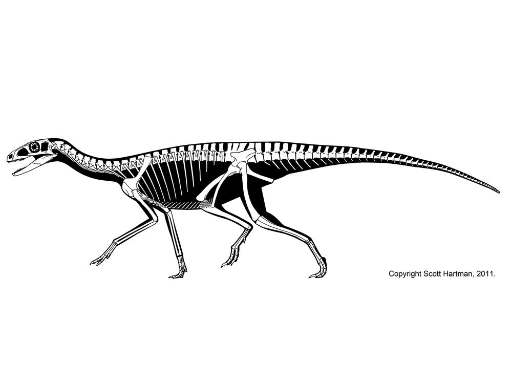 Waxing Paleontological: Hopeful Dinosaurs - Updated!