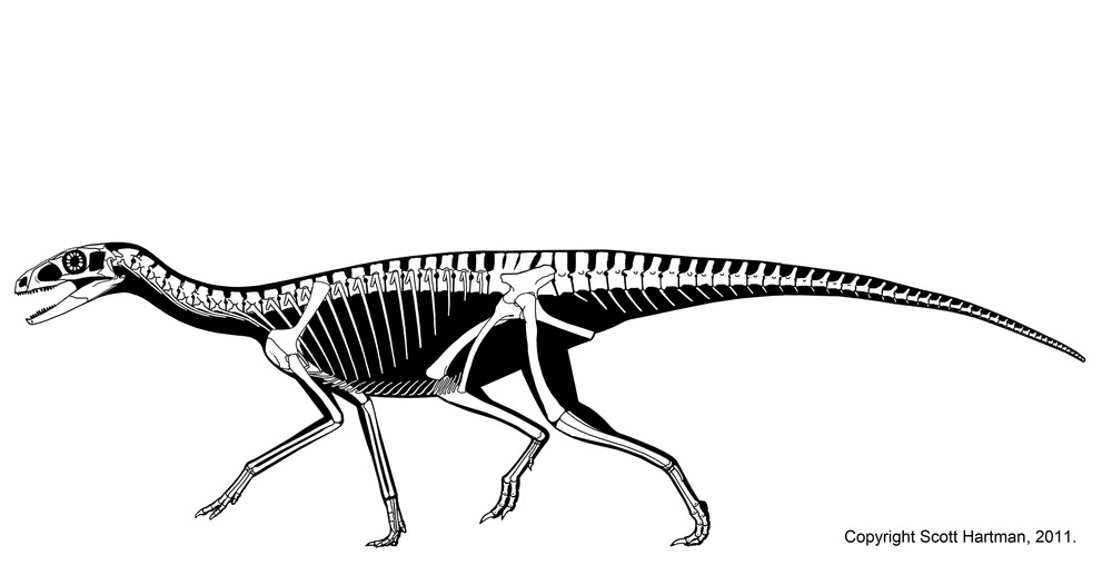 Waxing Paleontological: Hopeful Dinosaurs - Updated!
