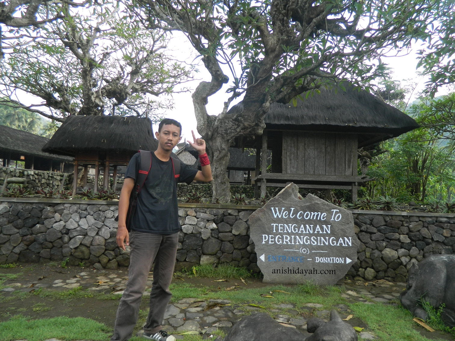 SangPetualang: Desa Tenganan Pegringsingan, Desa Tradisional di Ujung ...