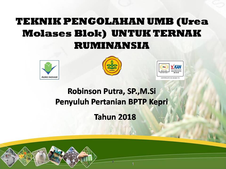 UMB-UREA MOLASES BLOCK