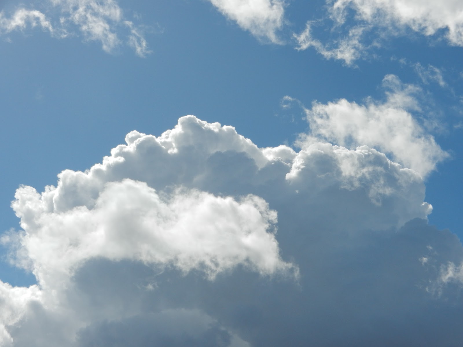 Real Everything Else: A couple of pretty clouds seen from Costco ...