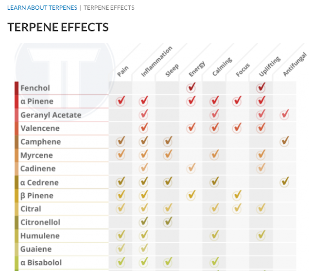 Tree's Terps