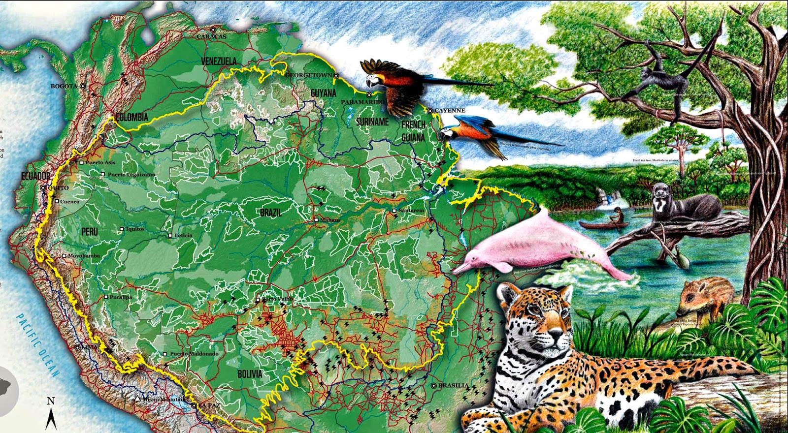 Juventud frente a los problemas ambientales