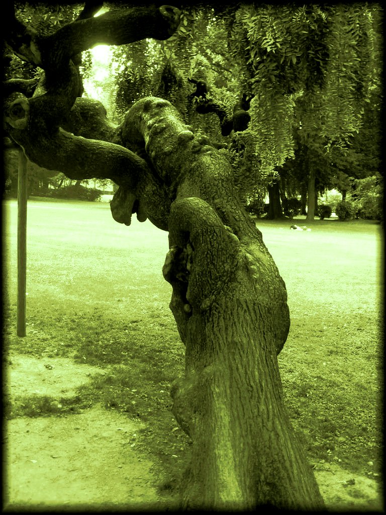 Guru's Home: Human Trees