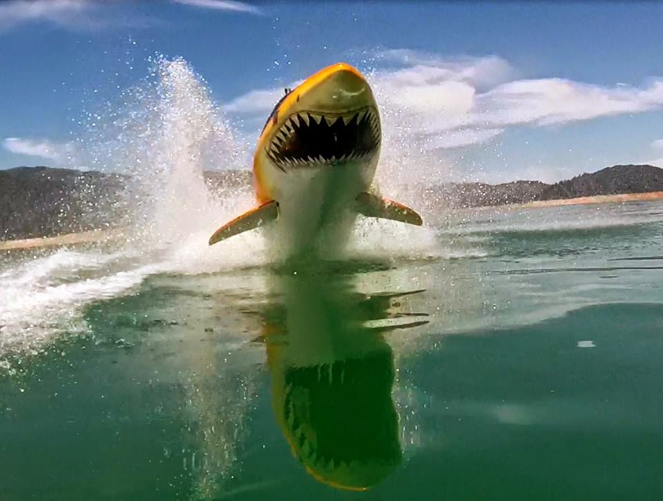 Kaiju tech: Seabreacher- The Diving Monster..