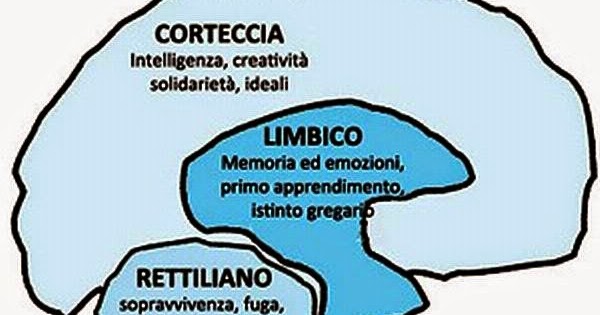 Il Blog che Ispira, Suggerisce, Svela e Rivela: QUALCHE NOZIONE UTILE ...