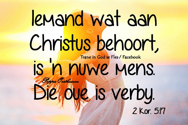 Christelike Boodskappies: 'n Nuwe Mens