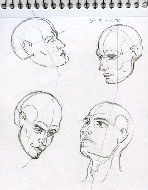 Dynamic Anatomy: Movement of the Head