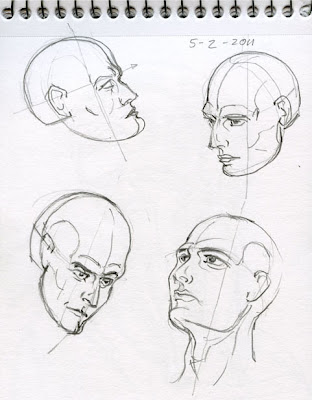 Dynamic Anatomy: Movement of the Head