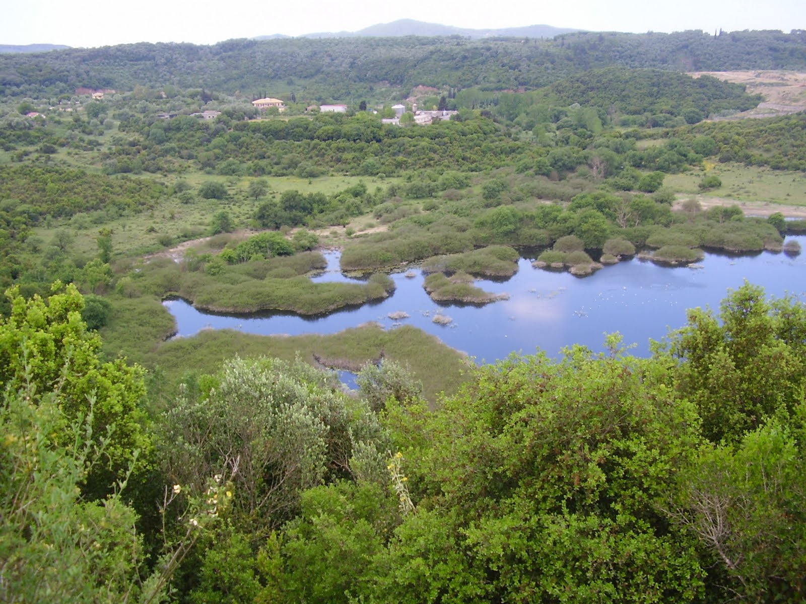 ecocorfu: Μαΐου 2011