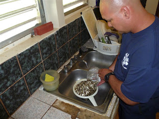 BBQGuam: Deep Fried Manahak (Guam Juvenile Rabbit Fish)