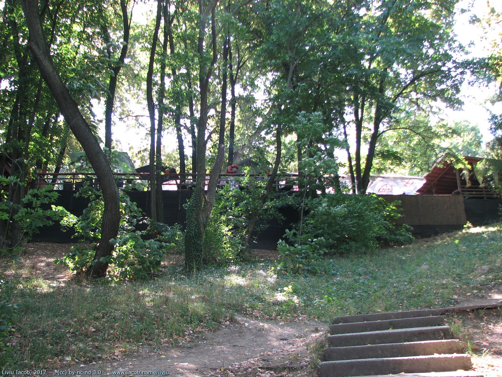 Traseu in Ilfov: Branesti (Padurea Pustnicu + Raul Pasarea ...