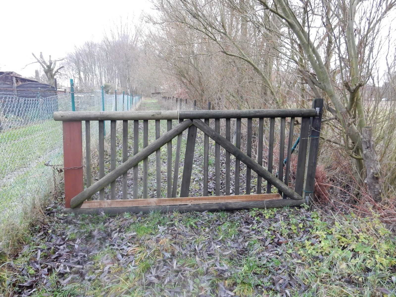 Magisches Leben mit dem Blick aufs Glück: WONDERSTORIES Das Lachen aus ...