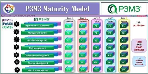 P3M3 Organization Maturity Self Assessment