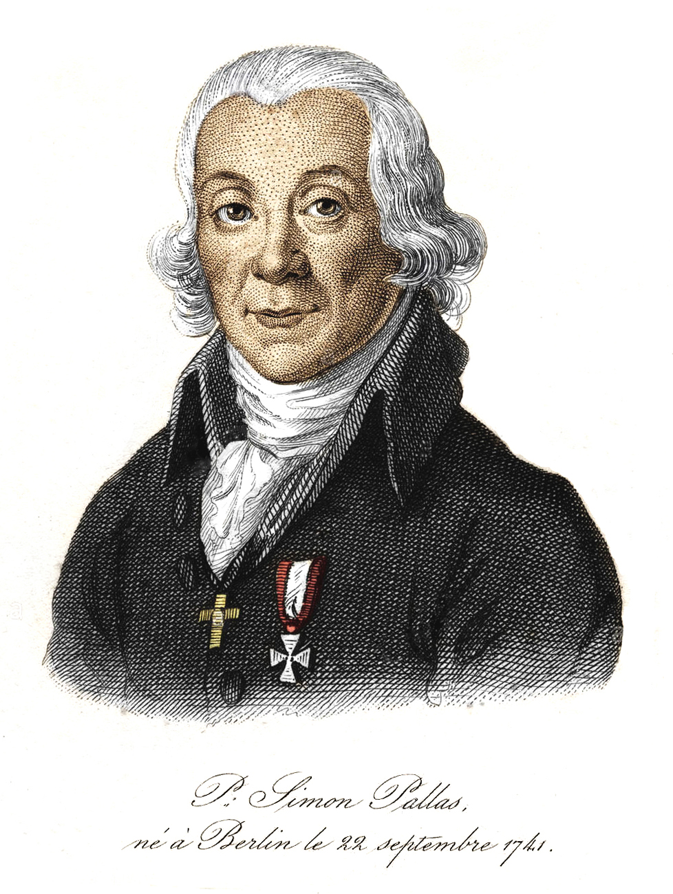 ARCANO Nelson Gomes - MAMMALIA...incluindo Monodelphis: Peter Simon ...