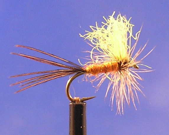 Fly Tyer Man: The Adams