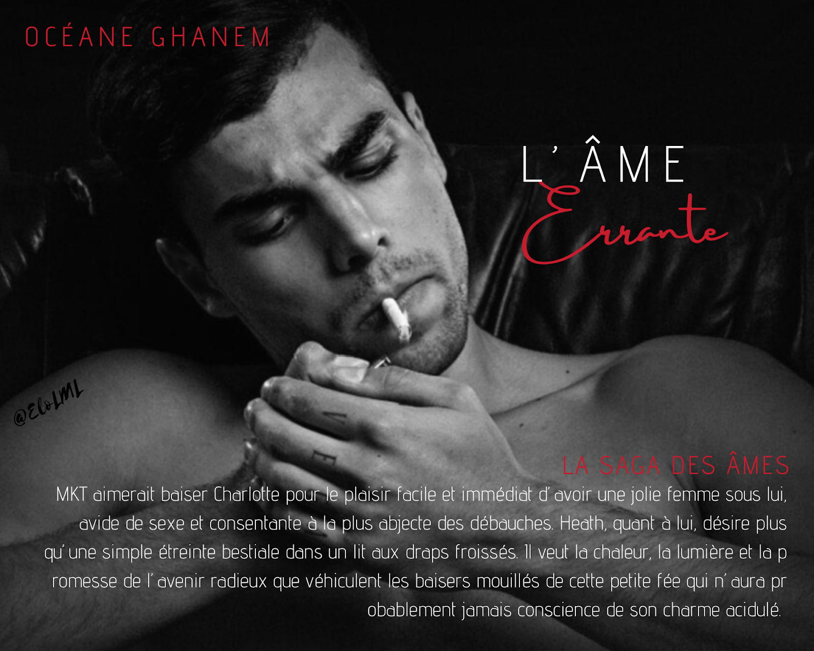 Les Magiciennes Des Mots: La saga des âmes - L'âme Errante - Partie 1 d'Océane Ghanem