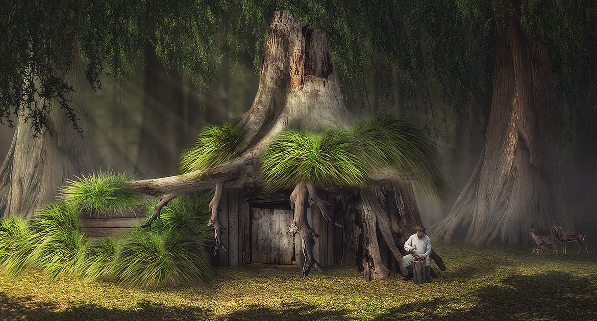 Visual art tutorials: Life in the Forest fantasy photoshop manipulation