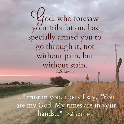 God, Mom, Alzheimer's and Me: Our Times Are in His Hands